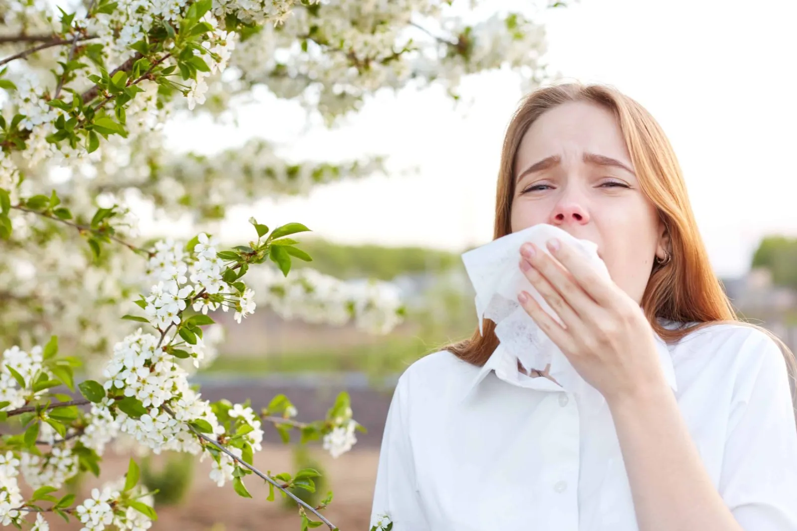 Seasonal Allergies in NYC: Solutions for Spring Pollen Relief