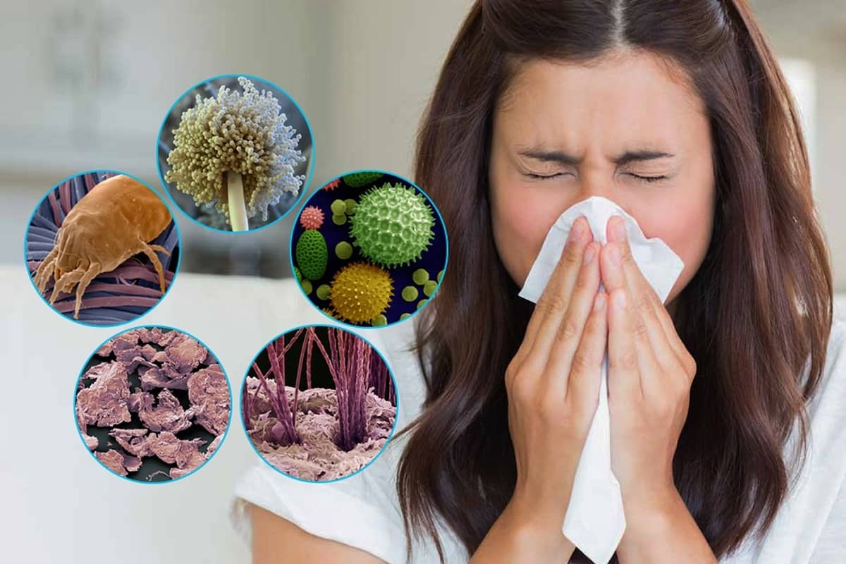 How to Identify and Manage Common Allergens in Your Environment ...